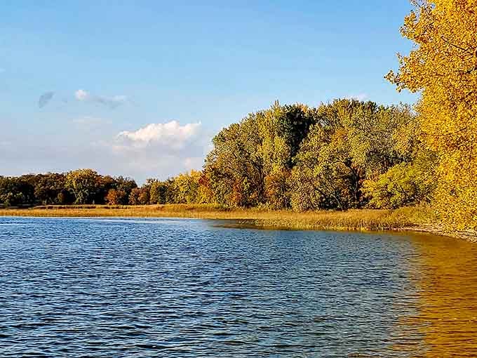 Golden hour at the lake hits different when you're surrounded by trees that look like they're showing off for fall.