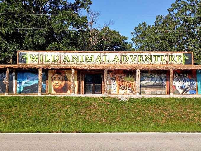 That hand-painted entrance mural isn't just decoration, it's a promise of the wild encounters waiting inside.