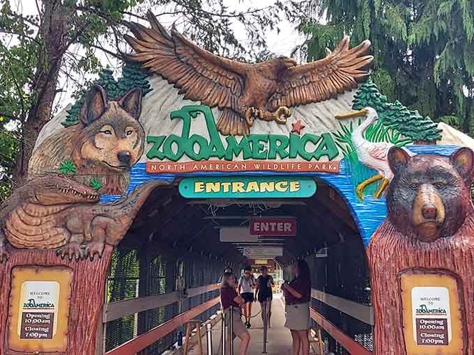That entrance archway promises adventure, and those carved animals aren't kidding around about what's waiting inside.
