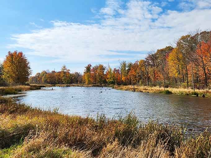 Autumn transforms the shoreline into something that belongs on a calendar, not hiding in northern Indiana.