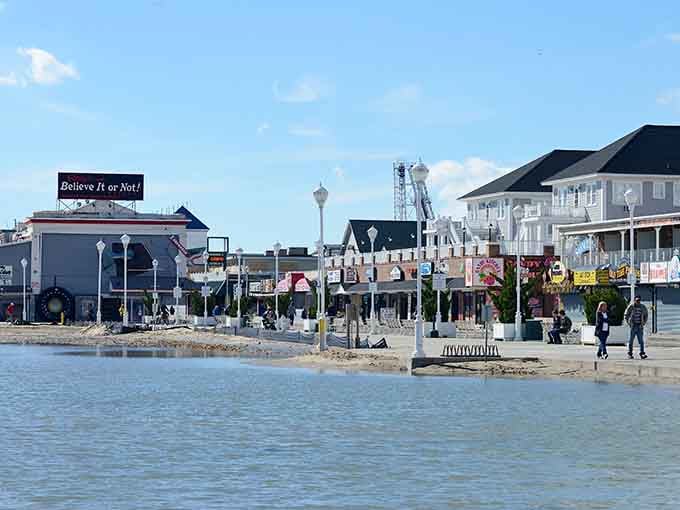 The bay side reveals Ocean City's quieter personality, where the water behaves itself and doesn't knock you over.