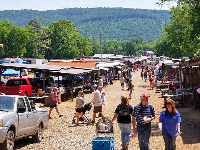Crowds strolling past endless vendor rows with mountains rising beyond, proving the best shopping therapy includes fresh air and scenery.