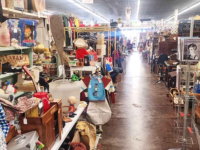 Vintage treasures dangle like time capsules while shelves overflow with the kind of treasures that make your heart skip.