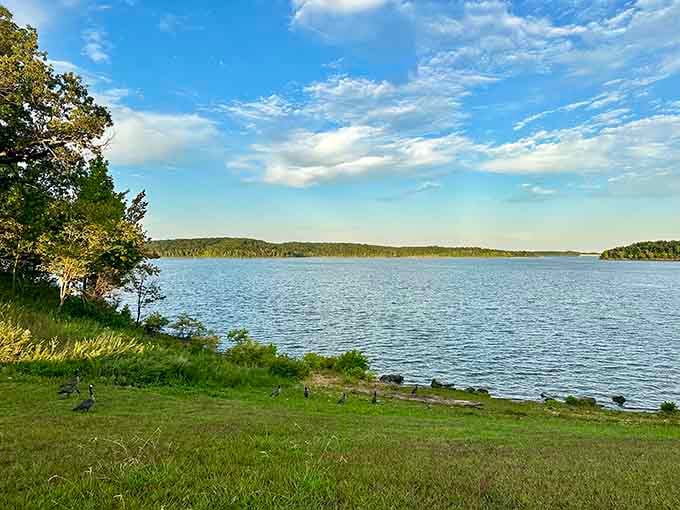 When the lake looks this good, you'll understand why people keep this place a secret from their friends.