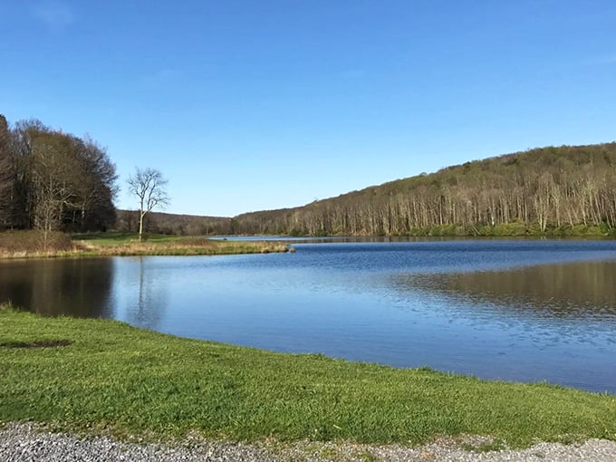 This peaceful shoreline is where stressed-out souls come to remember what silence actually sounds like these days.