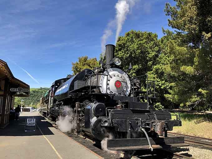 That magnificent beast breathing steam isn't a movie prop, it's your actual ride through the canyon today.