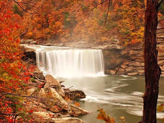 Cumberland Falls draped in autumn glory looks like Mother Nature decided to show off her entire color collection simultaneously.