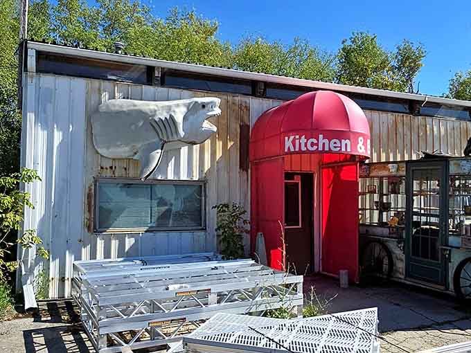 That shark isn't just decoration, it's a promise that things are about to get wonderfully weird inside.