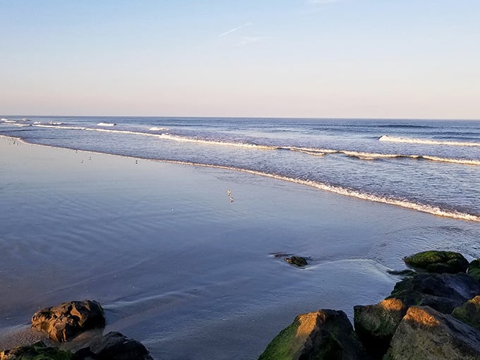 That moment when the ocean decides to show off and you can't help but stare.