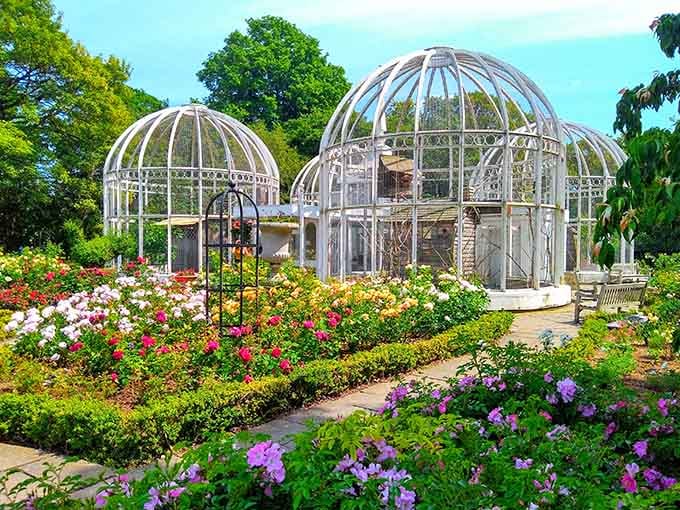 Those elegant glass domes aren't just pretty, they're your passport to tropical paradise without the airfare.