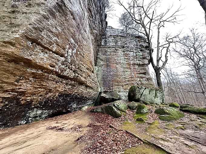 These towering sandstone bluffs create natural shelters along the trail, displaying millions of years of geological history in stunning layered detail.