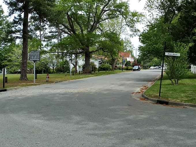Tree-lined streets where the biggest traffic jam involves a squirrel crossing and maybe one patient sedan.