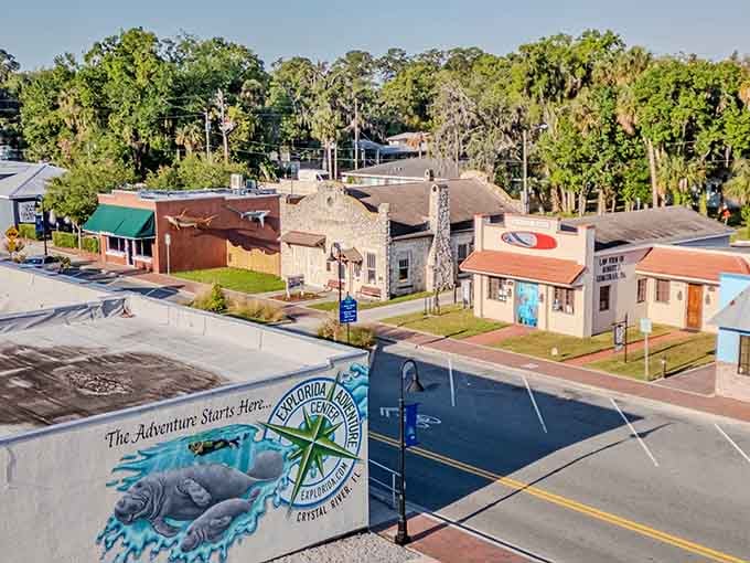 Street murals celebrate manatees because when you've got nature's best attraction, you might as well advertise it.