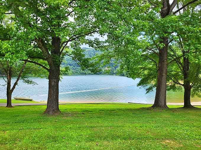 That moment when you realize Kentucky's been hiding a lakeside paradise that rivals any coastal resort you've overpaid for.
