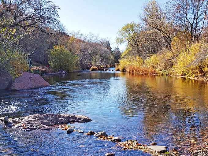 Golden willows frame this peaceful stretch of Oak Creek where the water runs clear and the red rocks stand guard.