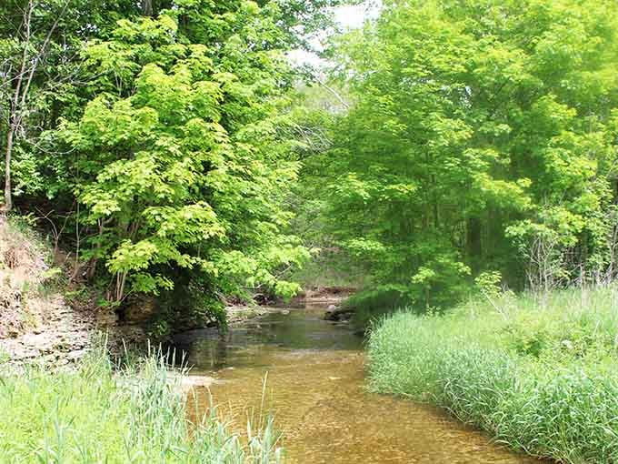 Ross Run meanders through lush greenery like nature's own lazy river, minus the inner tubes and sunscreen.