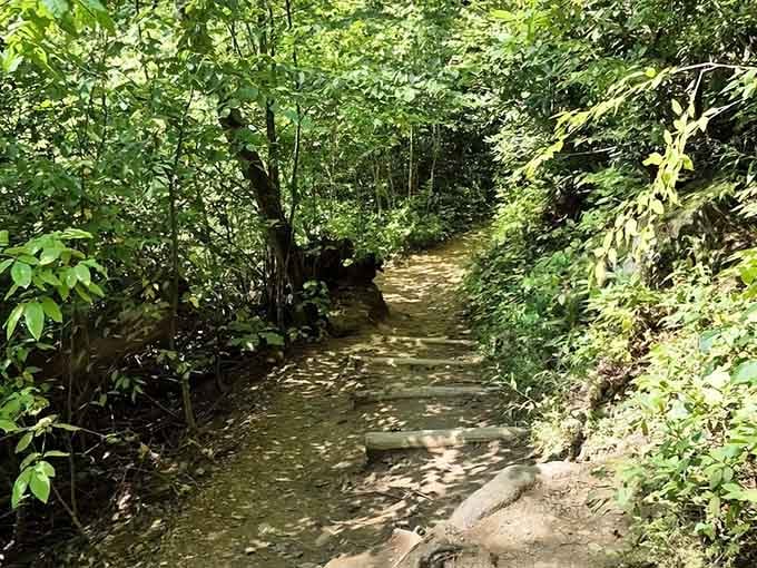 The trail welcomes you with open arms and zero judgment about your fitness level or hiking resume.