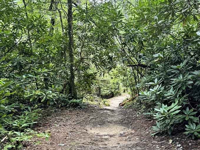 The journey begins where pavement ends and adventure takes over&mdash;your gateway to natural wonder awaits.