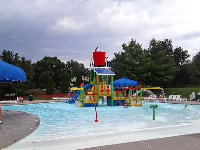 That giant red bucket at the top holds approximately one thousand gallons of pure childhood joy and inevitable screaming.