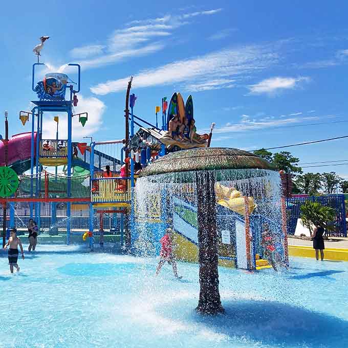 Multi-level aquatic mayhem where gravity becomes your best friend and screaming is absolutely encouraged by management.