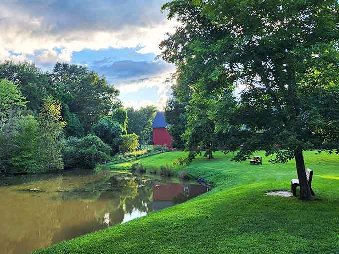 When nature decides to show off with a perfect reflection, you stop and appreciate the free art show.