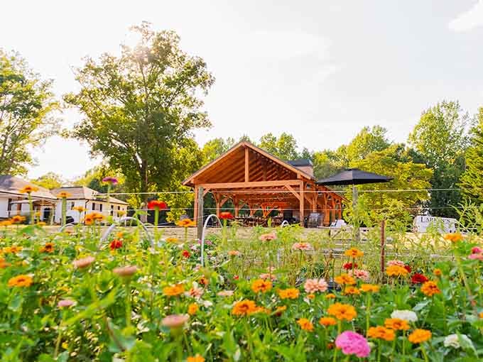 Fields of color stretch toward a welcoming pavilion where nature's artistry meets Southern hospitality in full bloom.