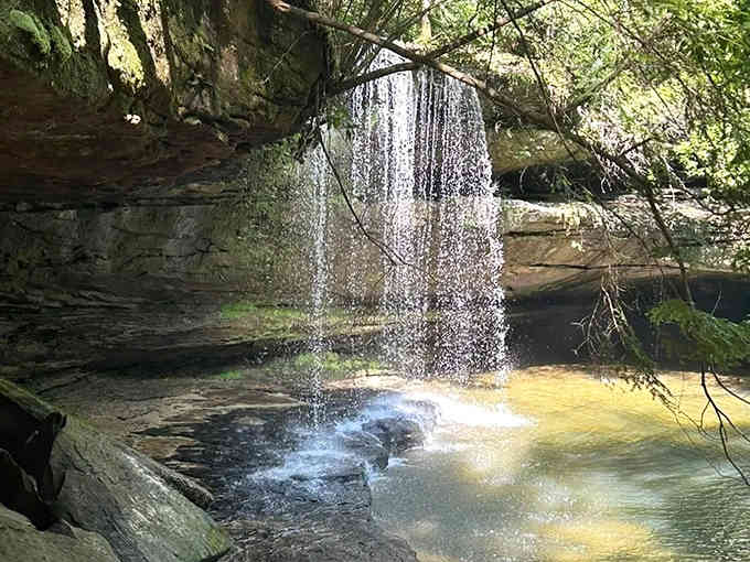 Water cascading over ancient rock into that impossibly blue pool, this is Alabama's hidden masterpiece.