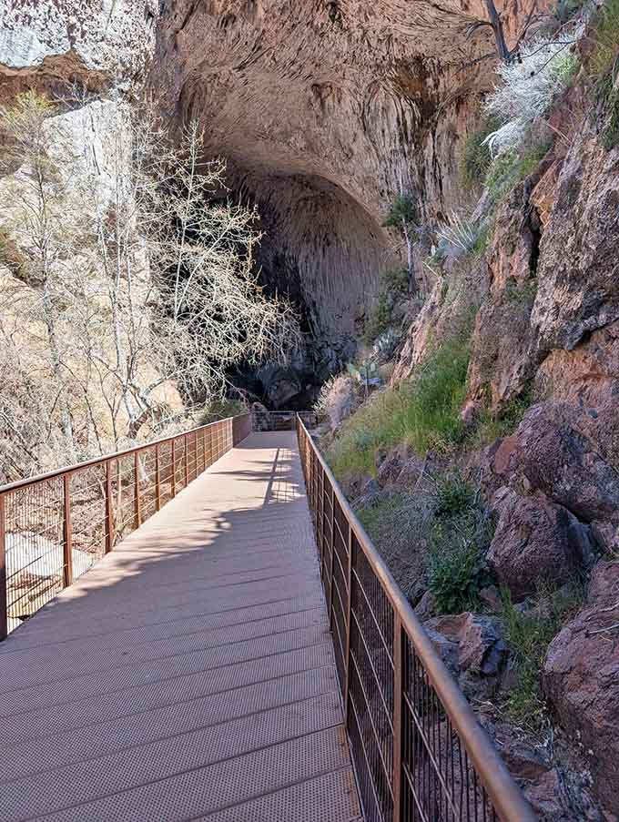 When the trail looks this inviting, even your couch might understand why you're leaving it behind today.