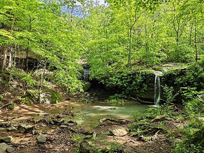 Spring brings lush green canopy and flowing water to Rebman Trail, creating the perfect conditions for experiencing this hidden Illinois waterfall gem.