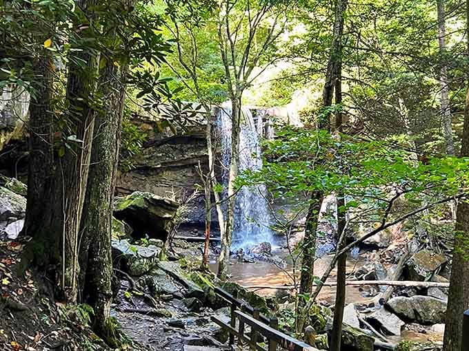 Nature's curtain call happens daily at this 30-foot cascade, no ticket required for the show.