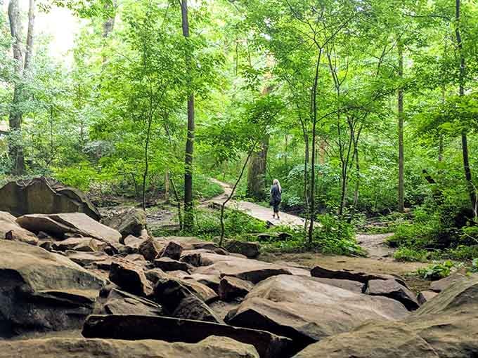Ancient sandstone formations tower above the forest trail, creating nature's own cathedral that's been standing for millions of years.