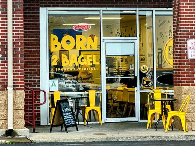 The welcoming storefront practically radiates sunshine, inviting you to discover what real bagels taste like in Kentucky.