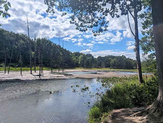 This tranquil wetland scene proves Michigan's beauty doesn't always require a Great Lake to take your breath away.