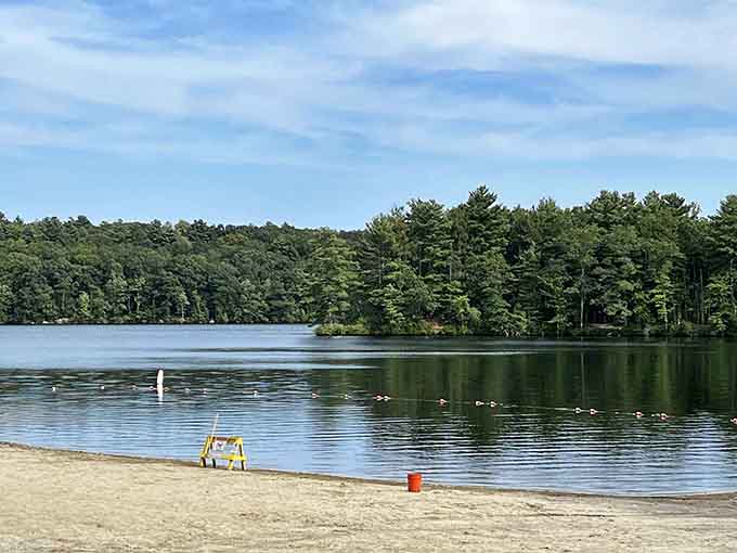 Your new favorite spot is closer than you think, and it looks exactly like this peaceful paradise.