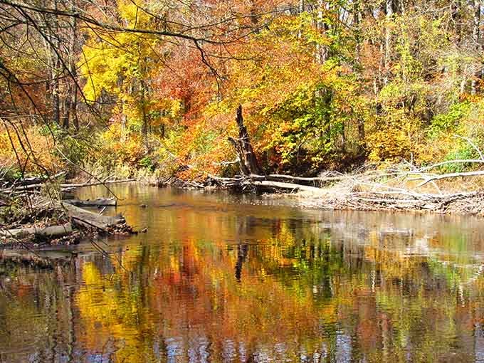 Nature's mirror reflects autumn's grand finale in colors so vivid they'd make a painter weep with envy.