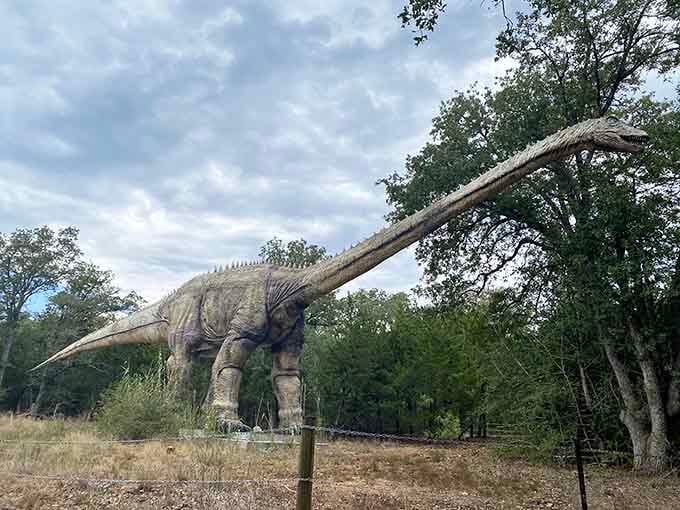 When a Brachiosaurus casually grazes above the Texas treetops, you know you've found something special.