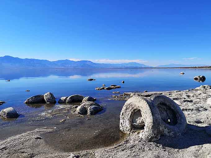 Those barnacle-encrusted rocks look like props from a sci-fi movie, but this surreal shoreline is absolutely real.