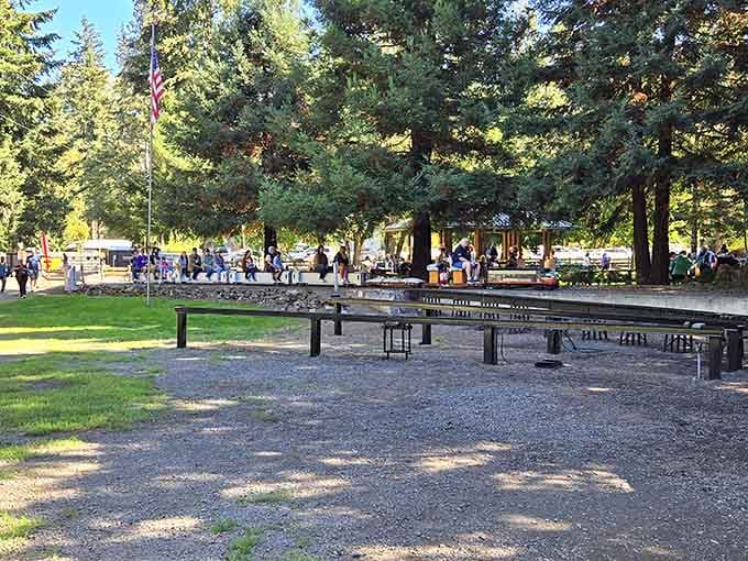 The park's covered pavilions shelter multiple tracks where miniature locomotives rest between their important passenger-carrying duties.