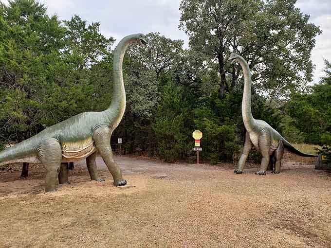 These gentle giants greet you at the entrance like prehistoric doormen welcoming you to 65 million years ago.