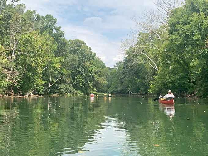 Glassy water, green canopy overhead, and fellow paddlers ahead living their best creek life right now.