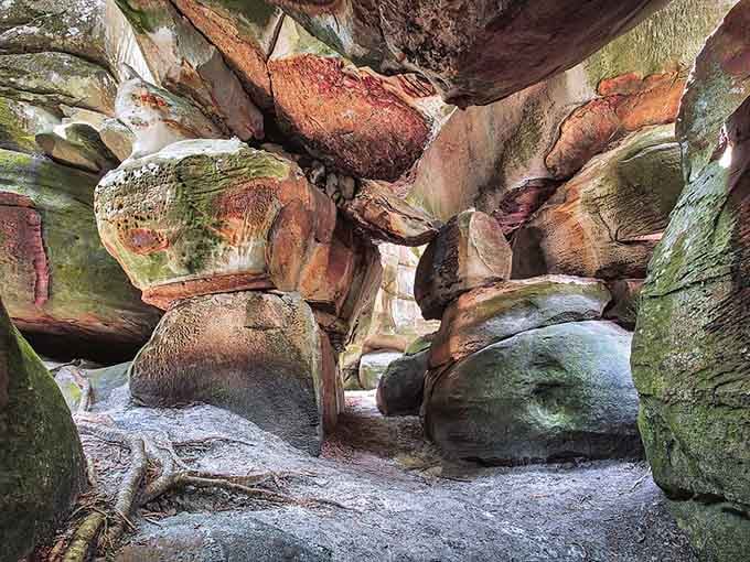 Those massive moss-covered boulders create passages that look like nature's own cathedral hallways.