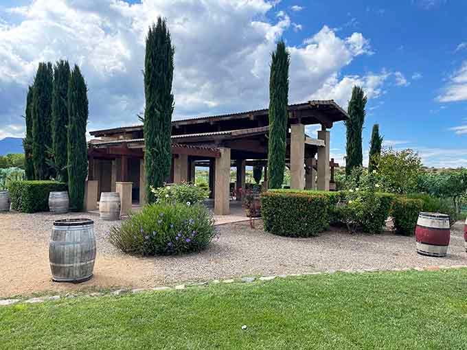 The covered pavilion offers shade, vineyard views, and the perfect excuse to order another bottle while pretending you're being responsible.