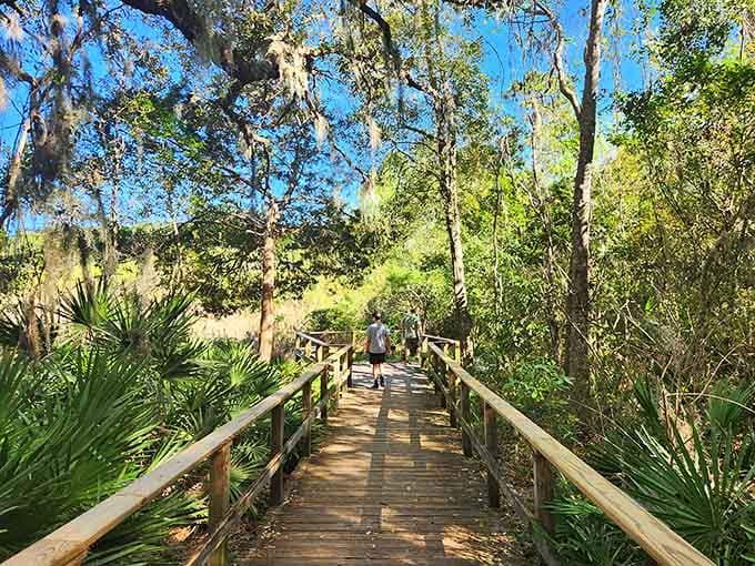 This boardwalk through the canopy feels like stepping onto a movie set where nature plays the leading role.