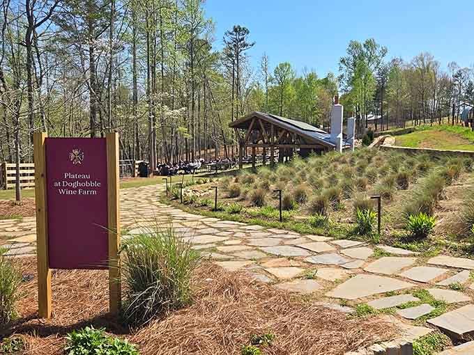 Rows of vines leading to rustic buildings prove that Georgia's wine country doesn't need to borrow anyone's playbook.