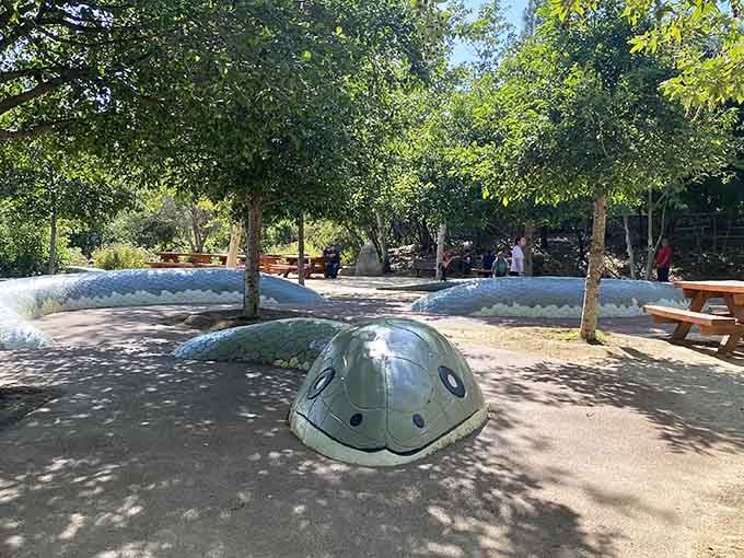 Natural play areas where sand, shade, and creativity combine into the perfect afternoon escape.