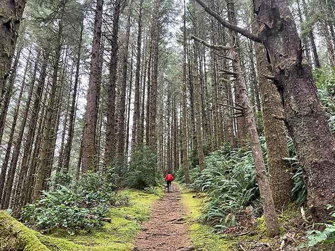 Peaceful Threemile Lake Trail winds through lush forest, offering scenic views, fresh air, and a relaxing hike perfect for nature lovers.