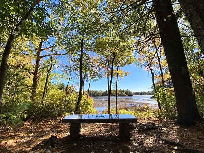 That bench has the best view in Easton, and it doesn't even charge admission.