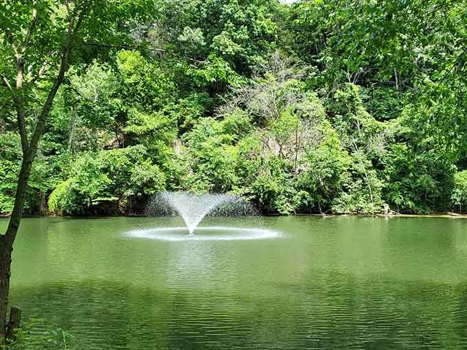 That fountain dancing in the middle of the pond is basically nature's way of showing off for you.