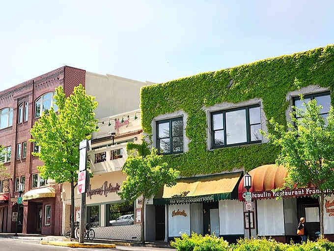 When buildings wear living walls this beautifully, you start wondering why every town doesn't dress this way.