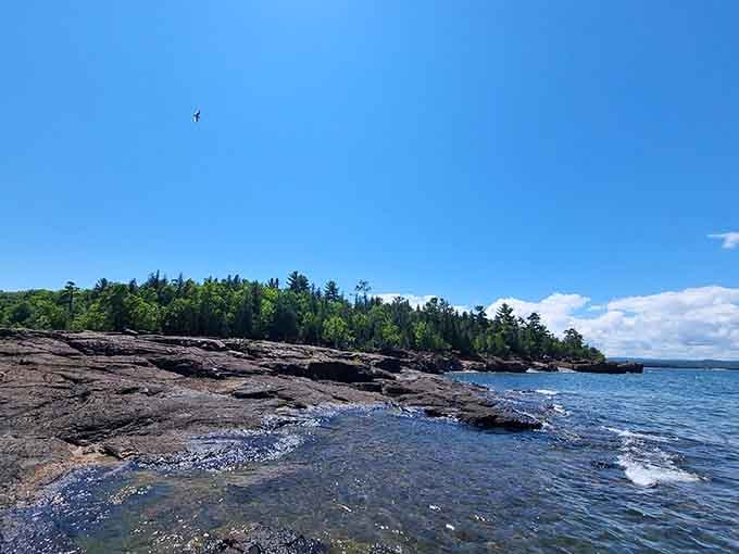 Those dark volcanic rocks meeting that impossibly blue water create a view that'll stop you mid-sentence every time.